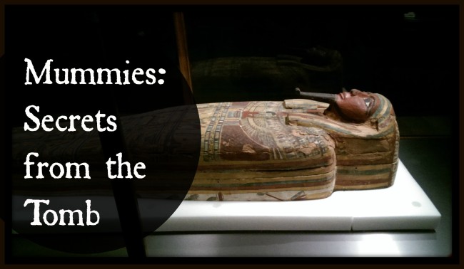 Mummies: Secrets from the Tomb – Dandelion Women