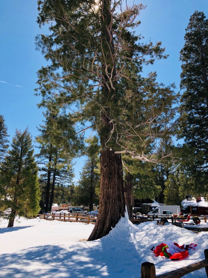 Travel :: A Visit to Idyllwild – Dandelion Women